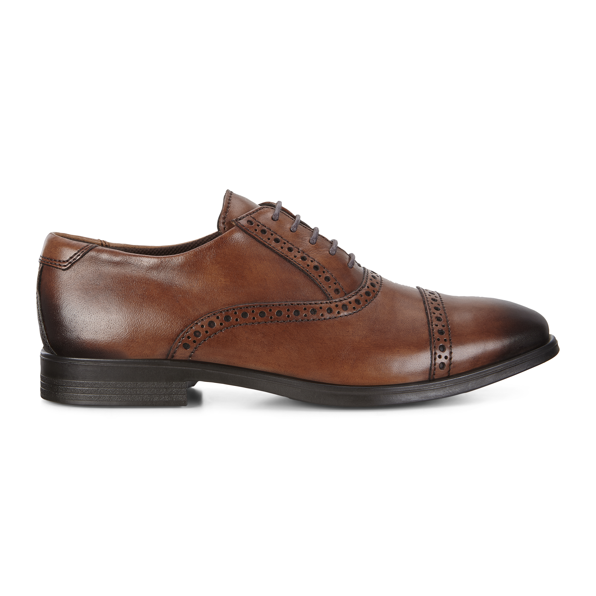 ECCO Melbourne Cap Toe Tie | Brown
